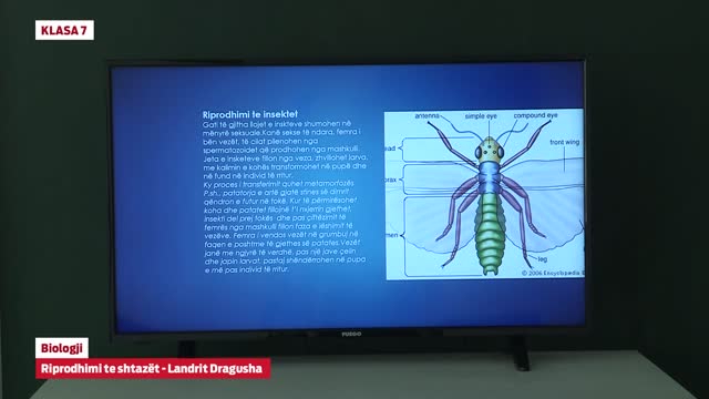 Klasa 7 - Biologji - Riprodhimi te shtazët - gjirafaVideo